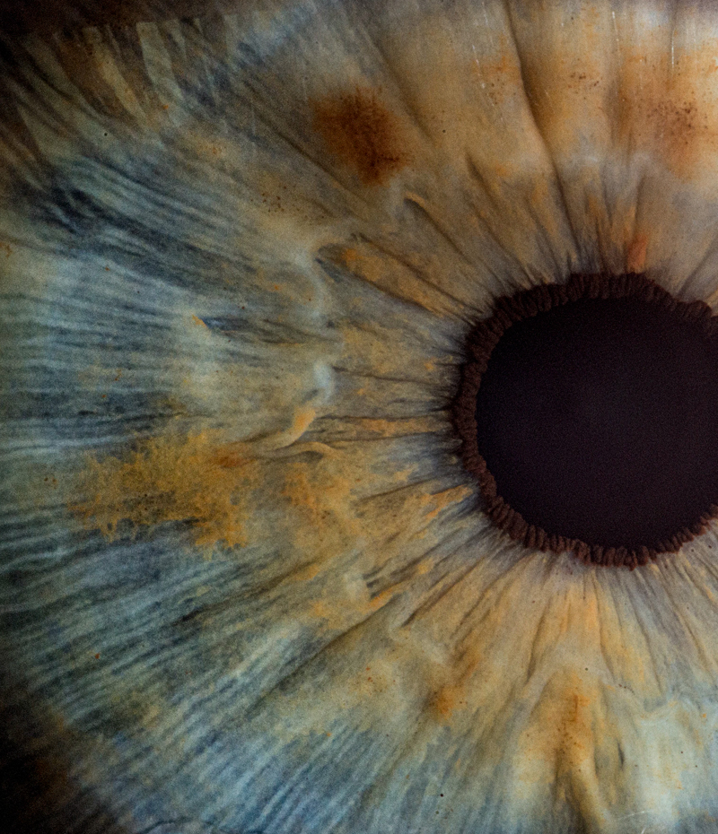 Did You Know? The Five Royale Blog! - Five-Royale